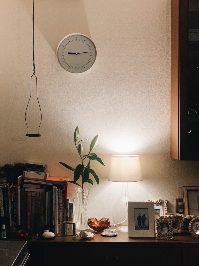 Shiori Fujii - MOHEIM